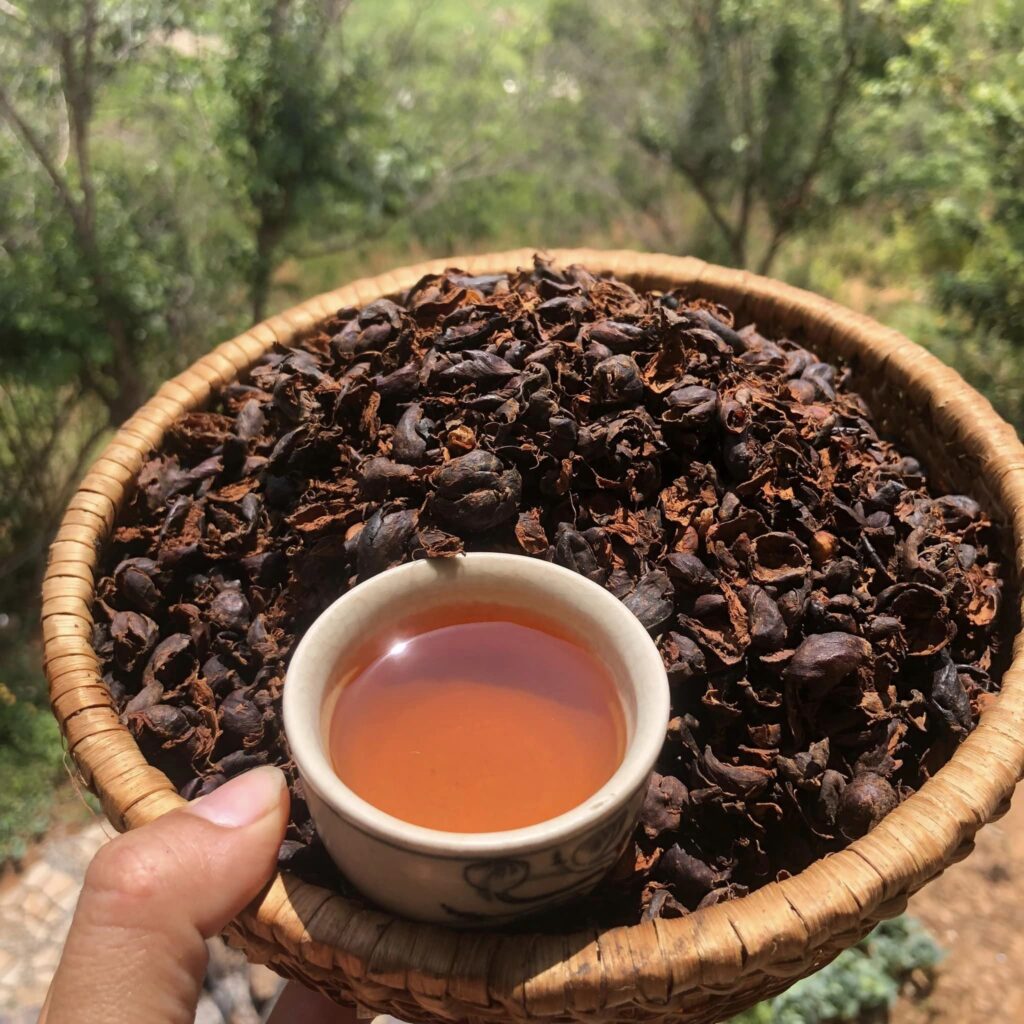 New Hot Cascara Tea From VietNam 2024