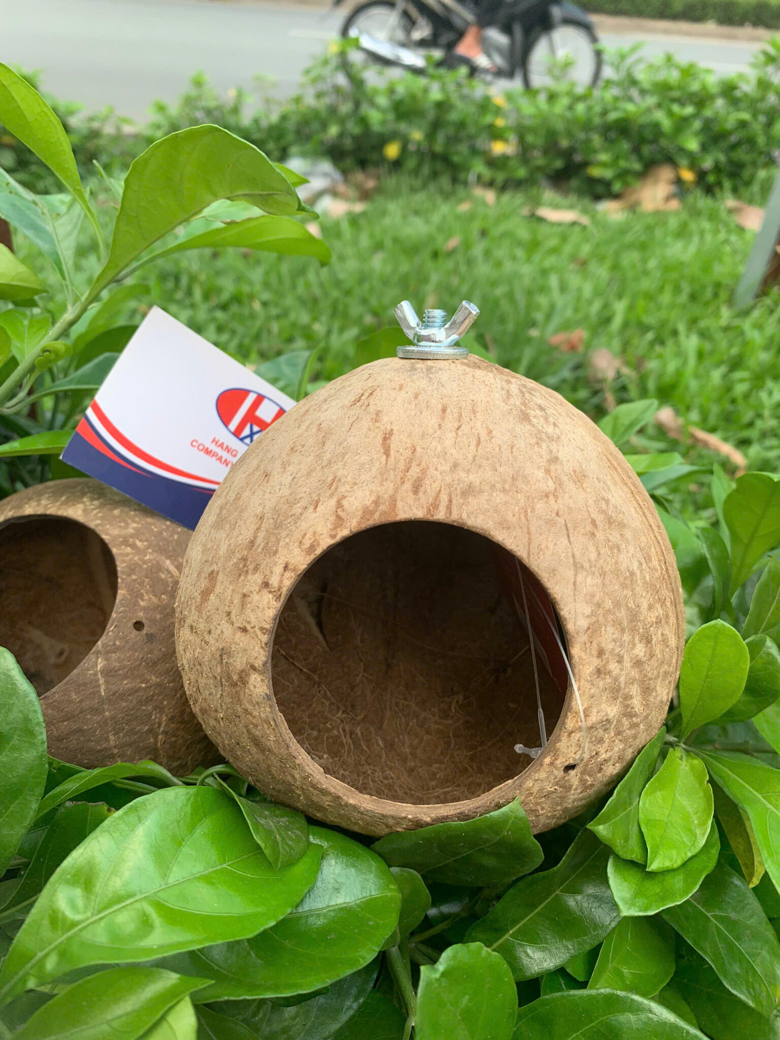 Coconut Shell Bird Nest with Screw Hook - Xuất nhập khẩu Hàng Xanh