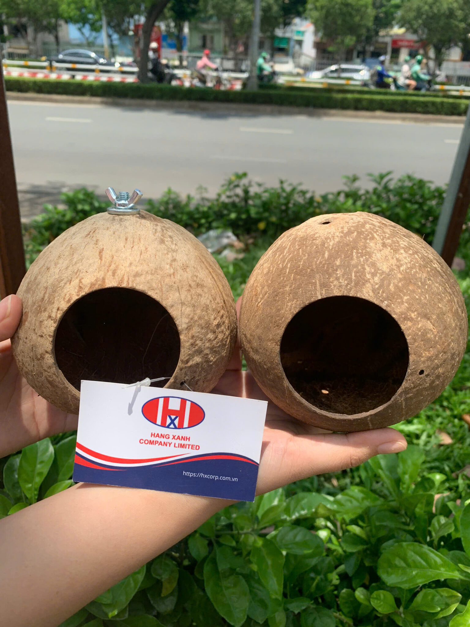 Coconut Shell Bird Nest with Screw Hook - Xuất nhập khẩu Hàng Xanh