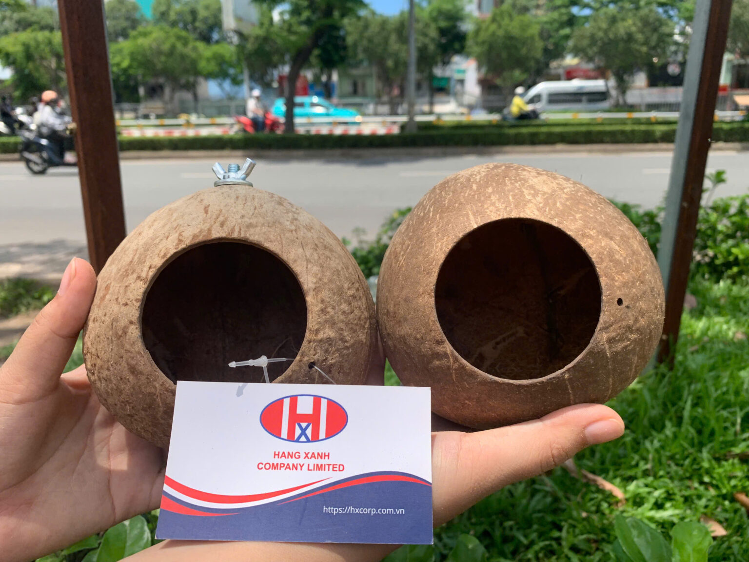 Coconut Shell Bird Nest with Screw Hook - Xuất nhập khẩu Hàng Xanh